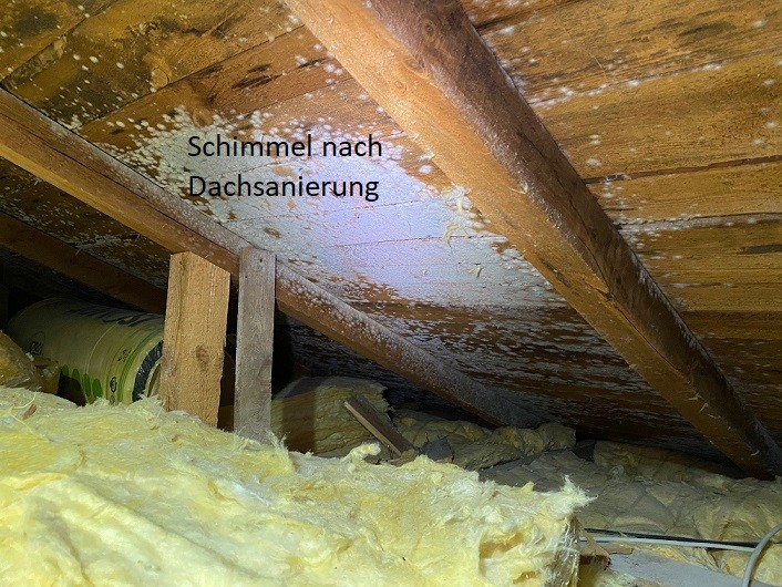 Schimmel Auf Dem Dachboden